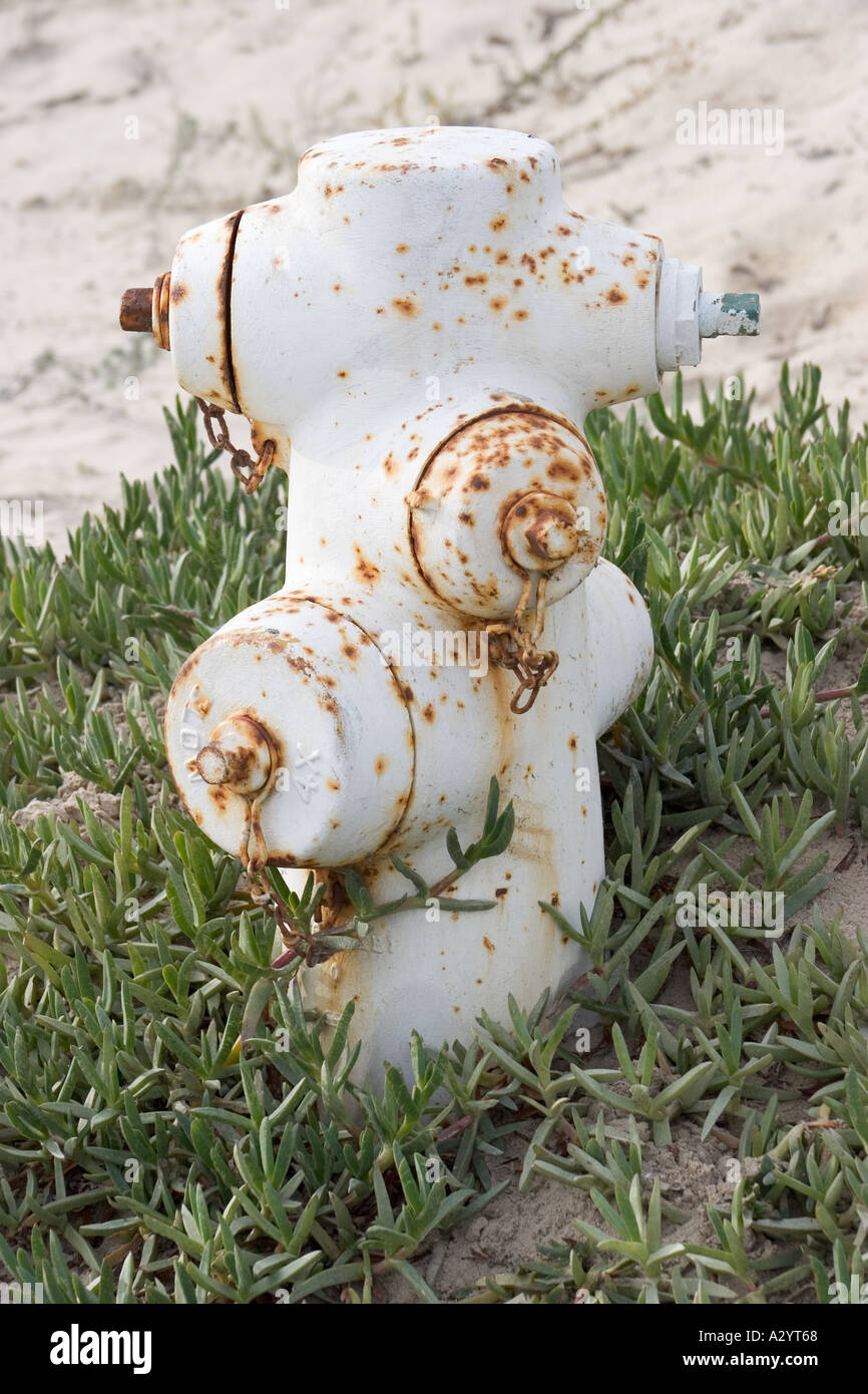 Fire Hydrant Santa Barbara California USA Stock Photo - Alamy