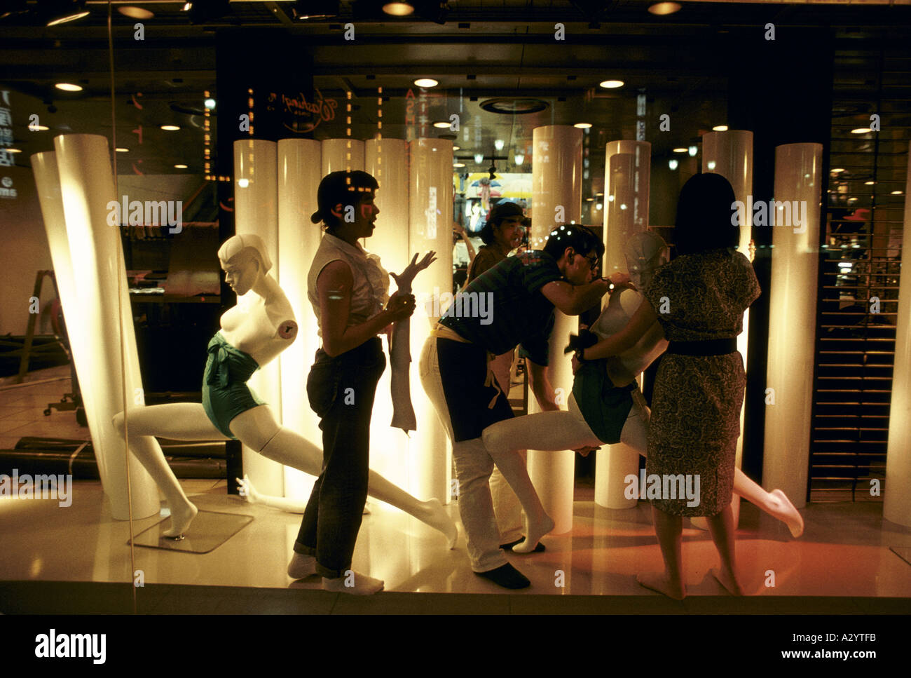 What Are Window Dressers at Paul Caison blog