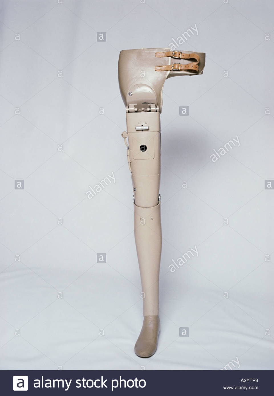 Hip Prosthesis Stock Photos & Hip Prosthesis Stock Images - Alamy
