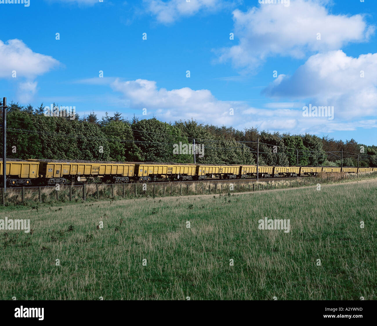 Cargo train passing field hi-res stock photography and images - Alamy