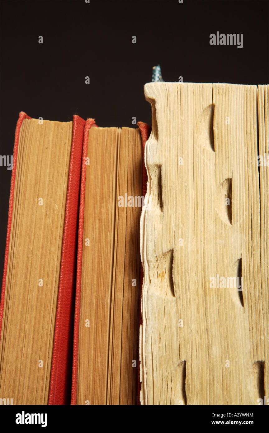 library book books Stock Photo - Alamy