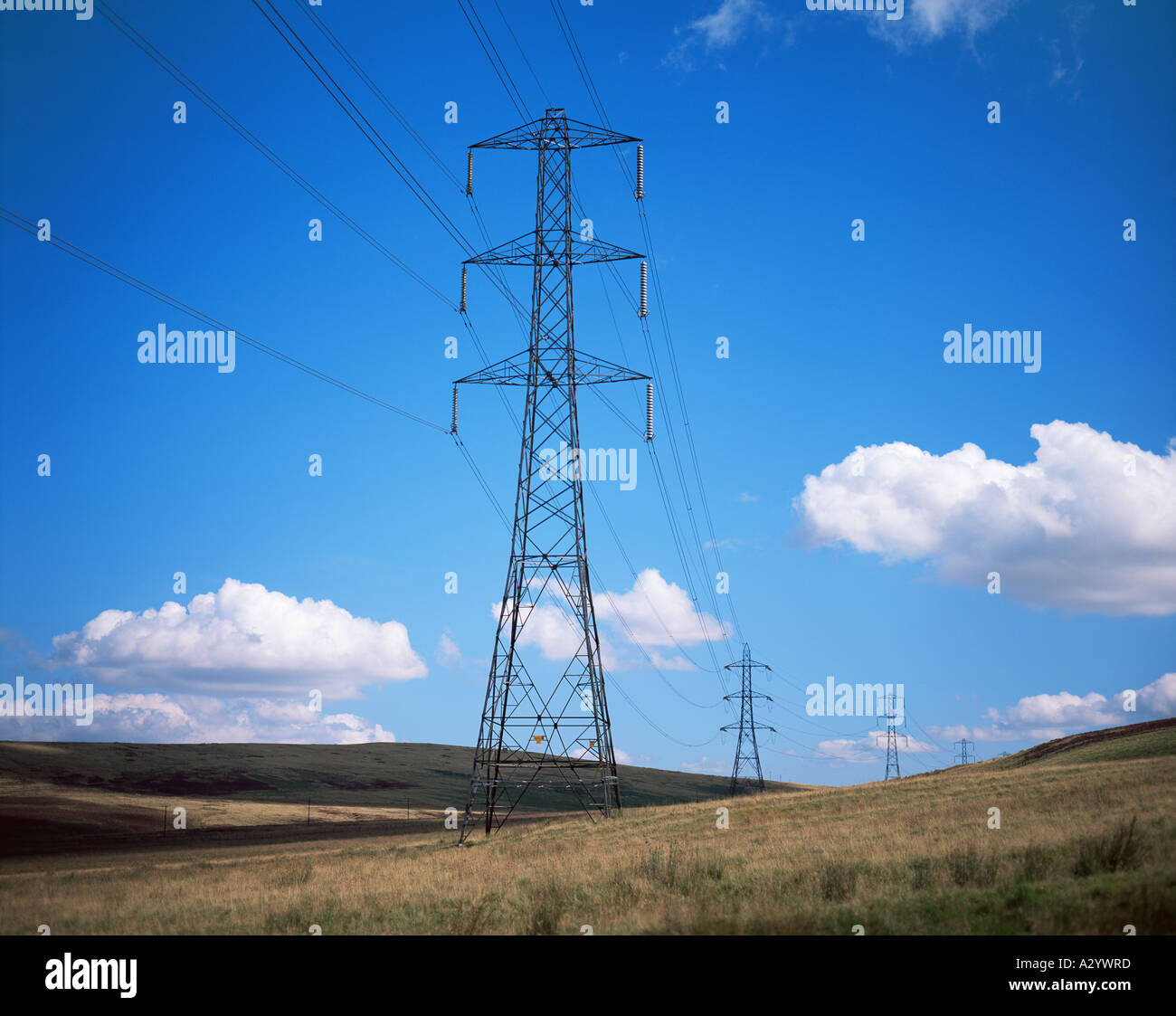 Electrical towers in field Stock Photo - Alamy