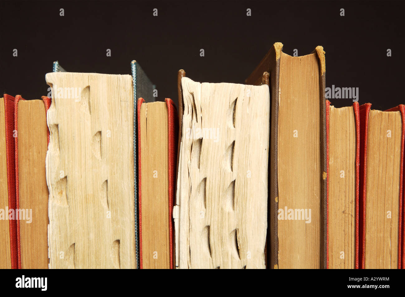 library book books Stock Photo - Alamy