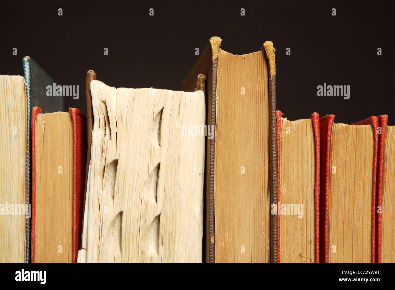 library book books Stock Photo - Alamy