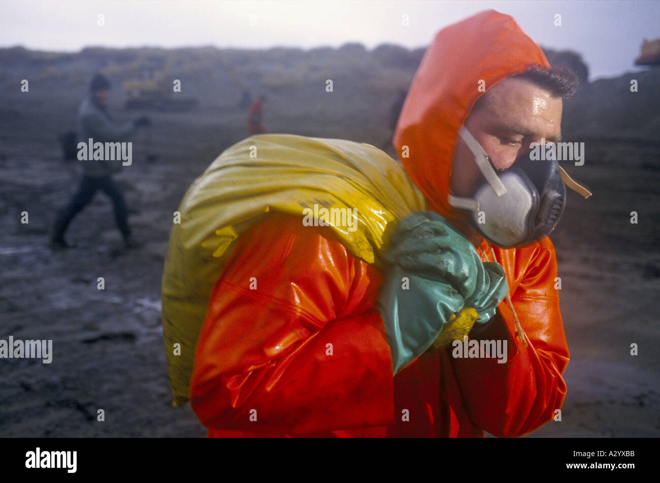 A rescue worker collecting dead wildlife killed by an oil slick after ...