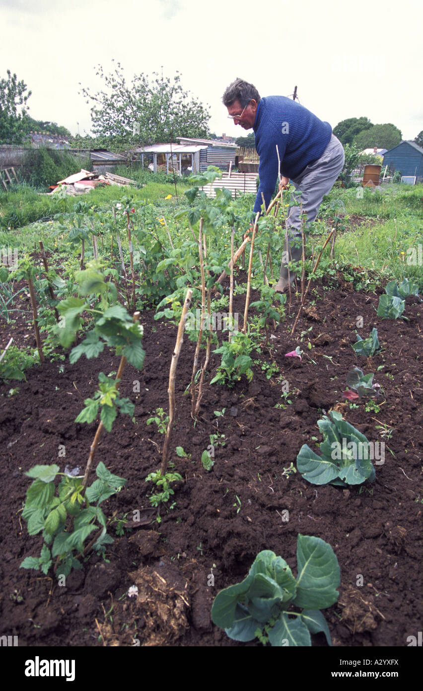Food waste uk dump hi-res stock photography and images - Alamy