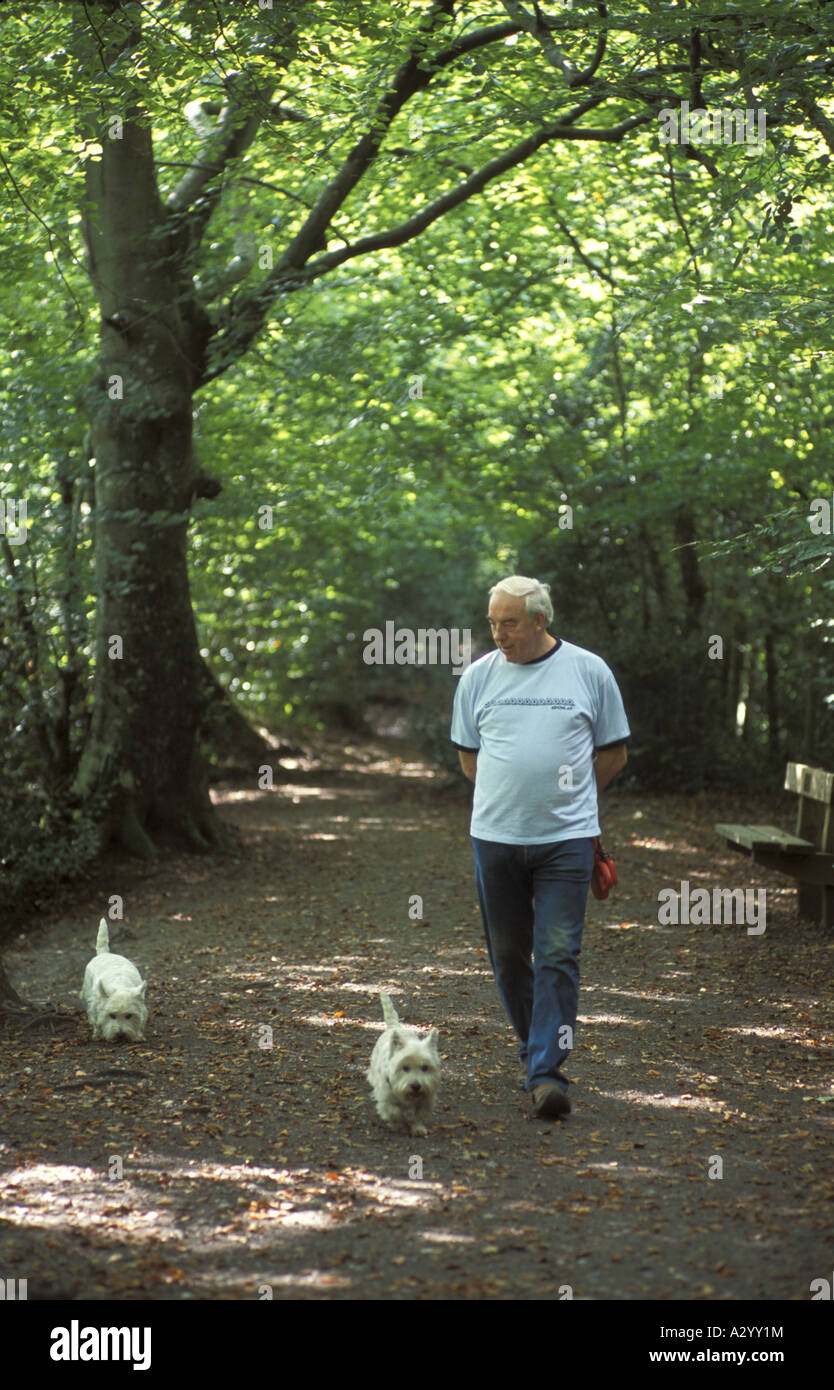 Newton abbot decoy country park hi-res stock photography and images - Alamy
