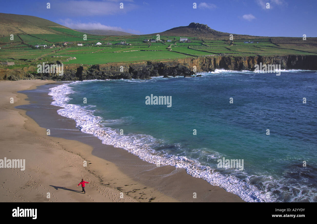 Person walking on Clogher Beach, Dingle Peninsula, Co Kerry, Ireland ...