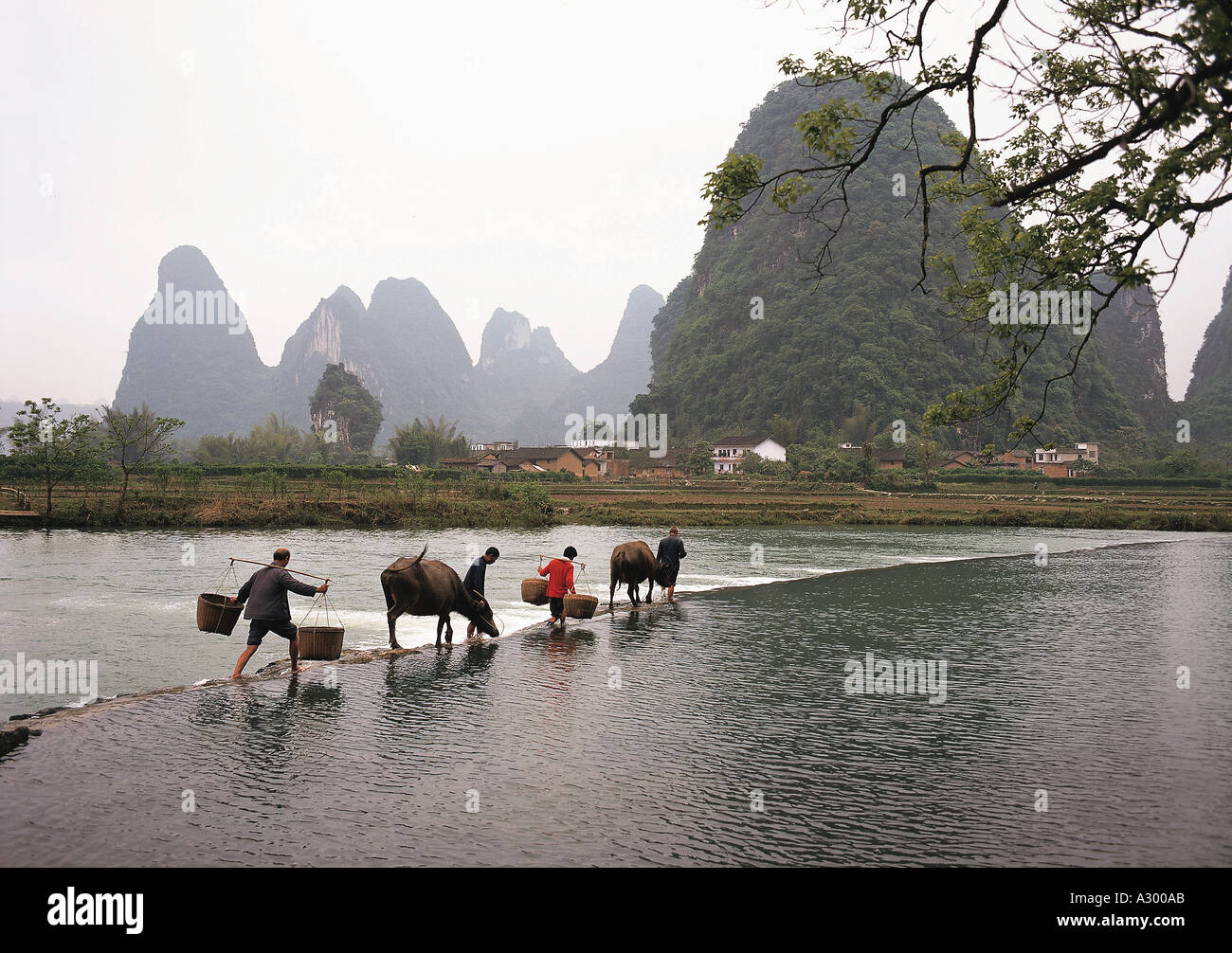 Li river guilin china hi-res stock photography and images - Alamy