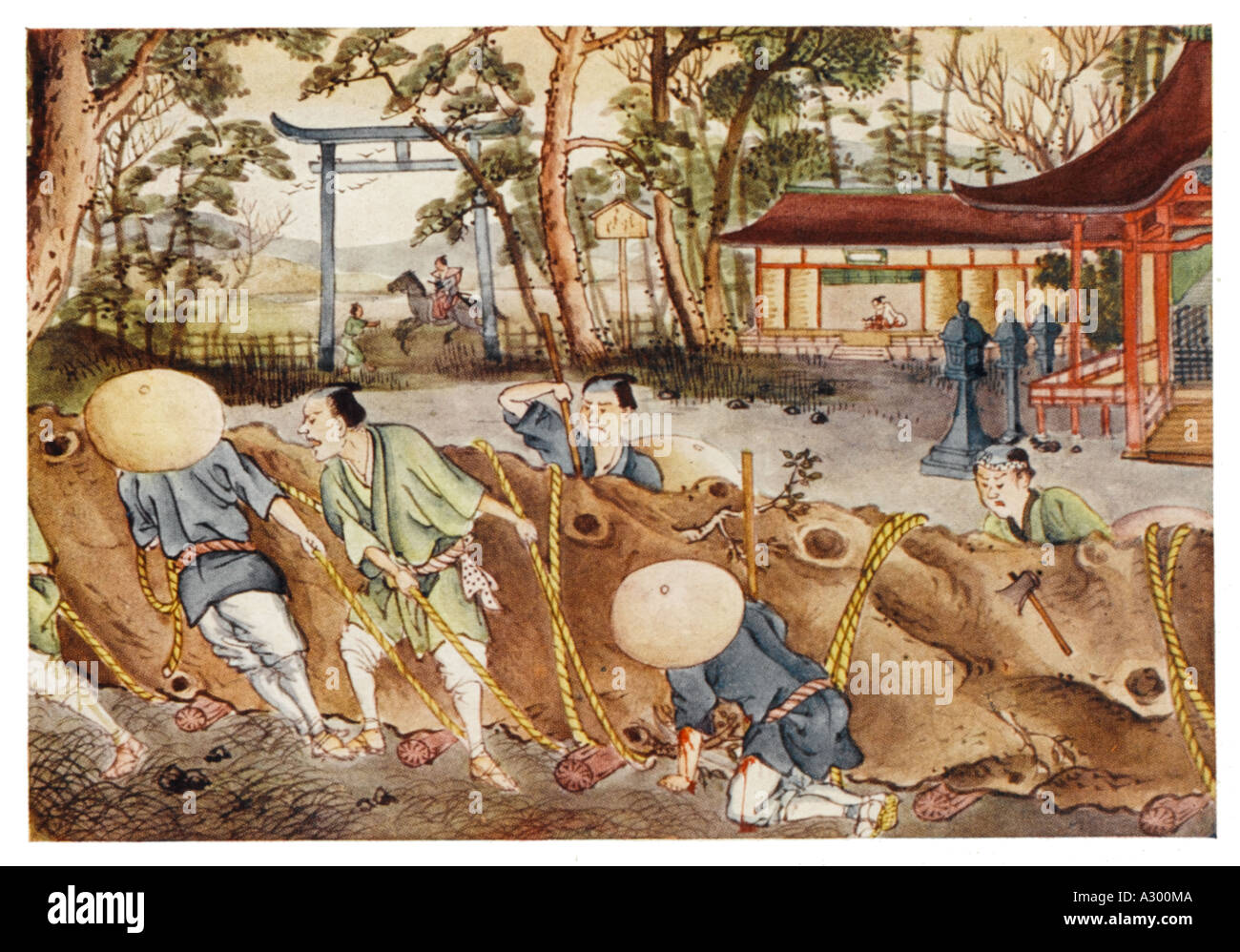 The Immovable Tree Stock Photo - Alamy