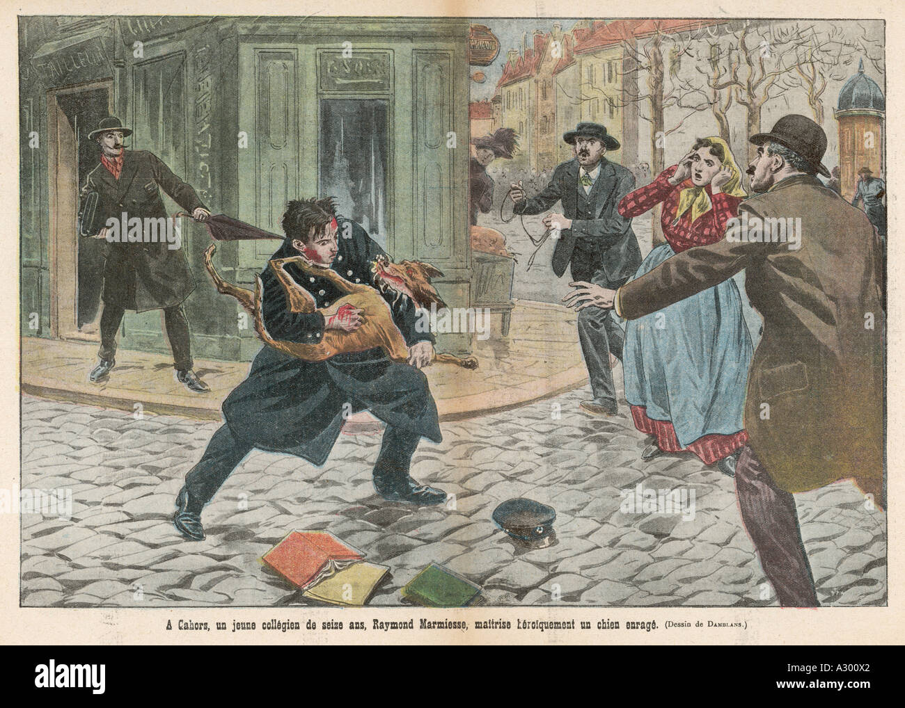 Rabid dog hi-res stock photography and images - Alamy