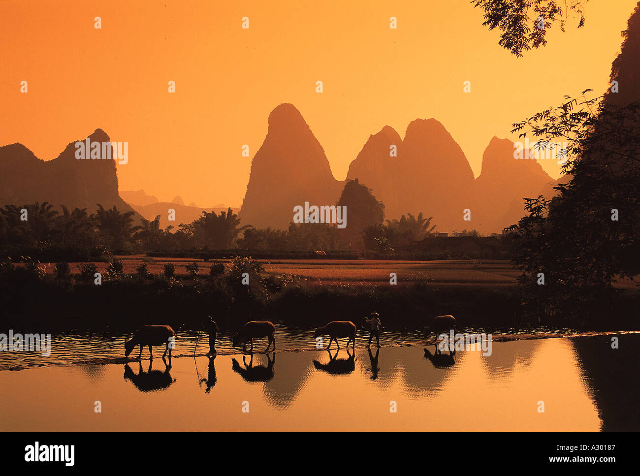 Li guang li hi-res stock photography and images - Alamy