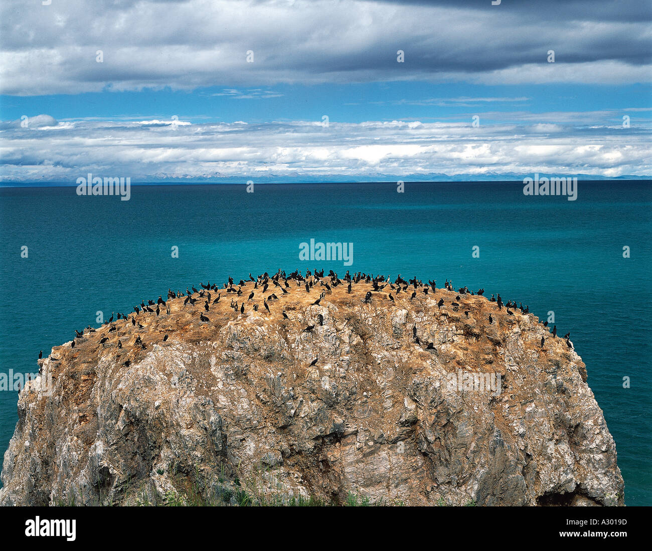 Shan Dong China Stock Photo - Alamy