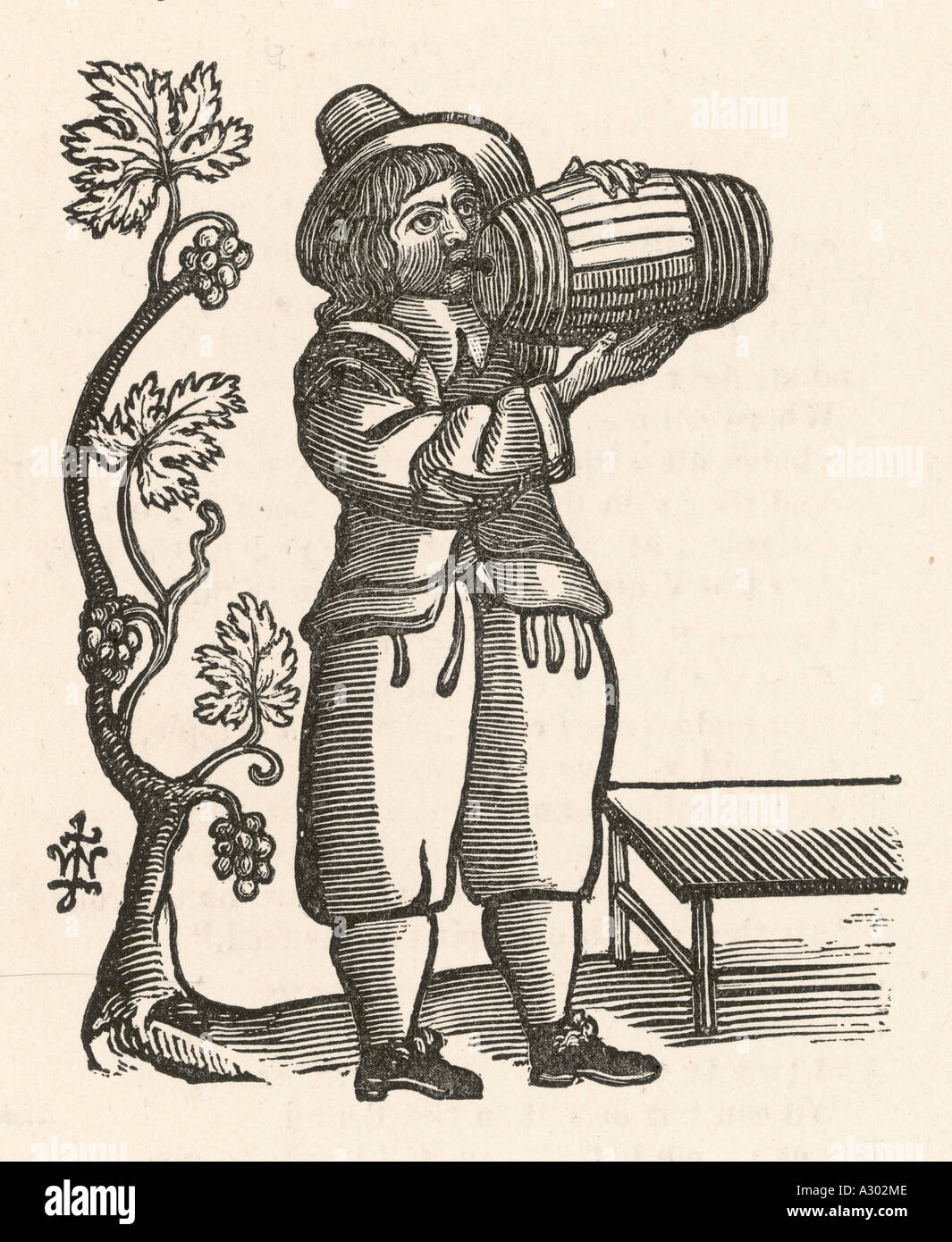 Straight from the barrel hi-res stock photography and images - Alamy