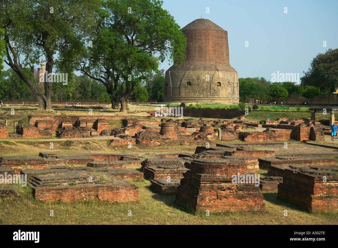 Dhamekh Stupa in Sarnath near Varanasi India Stock Photo - Alamy