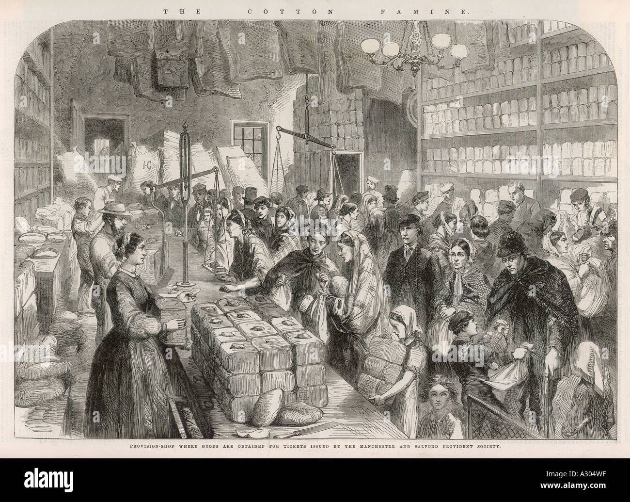 Cotton famine hi-res stock photography and images - Alamy