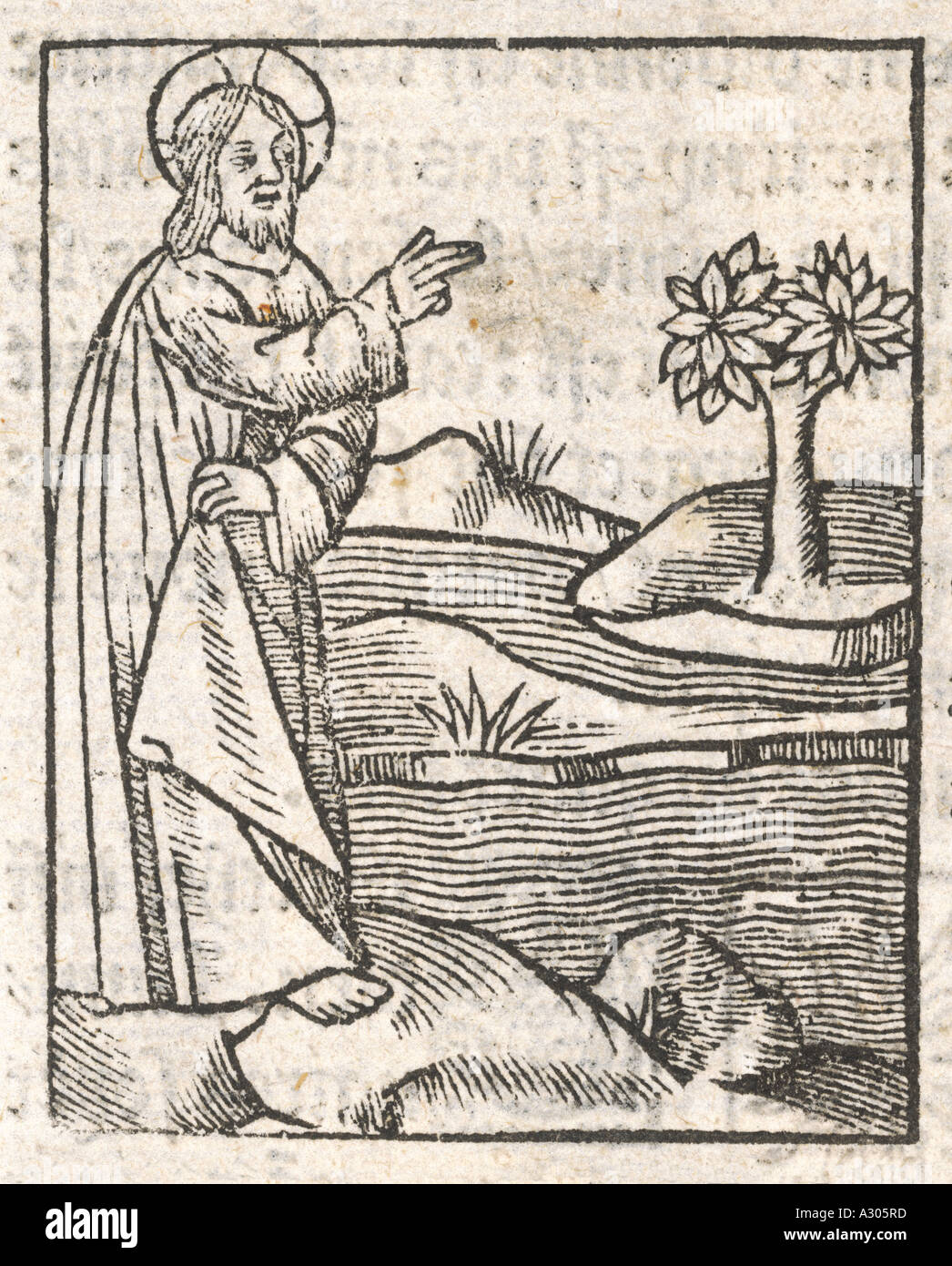 3rd Day Of The Creation Stock Photo - Alamy