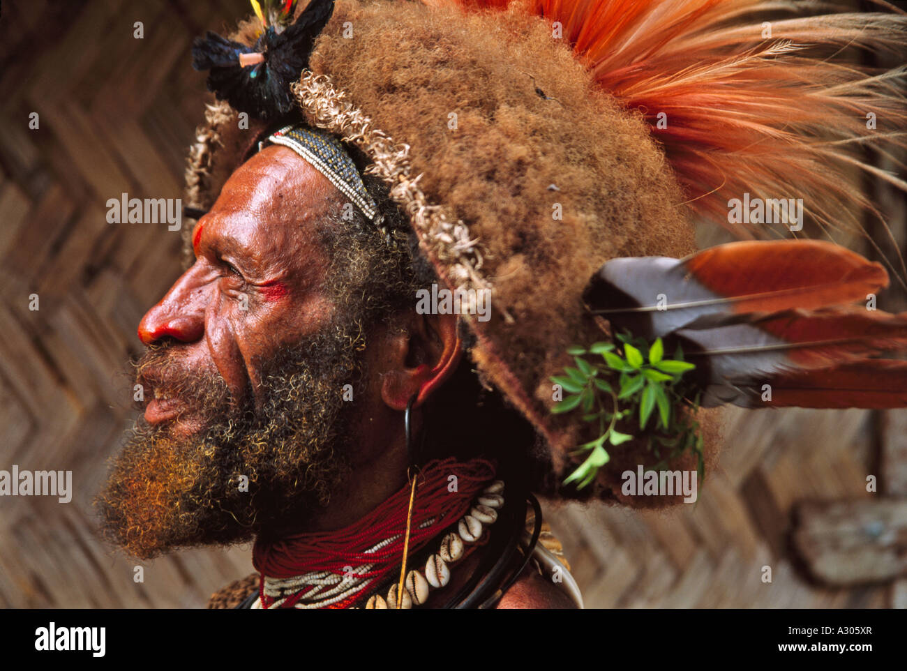 Huli wigman tari highlands papua hi-res stock photography and images ...