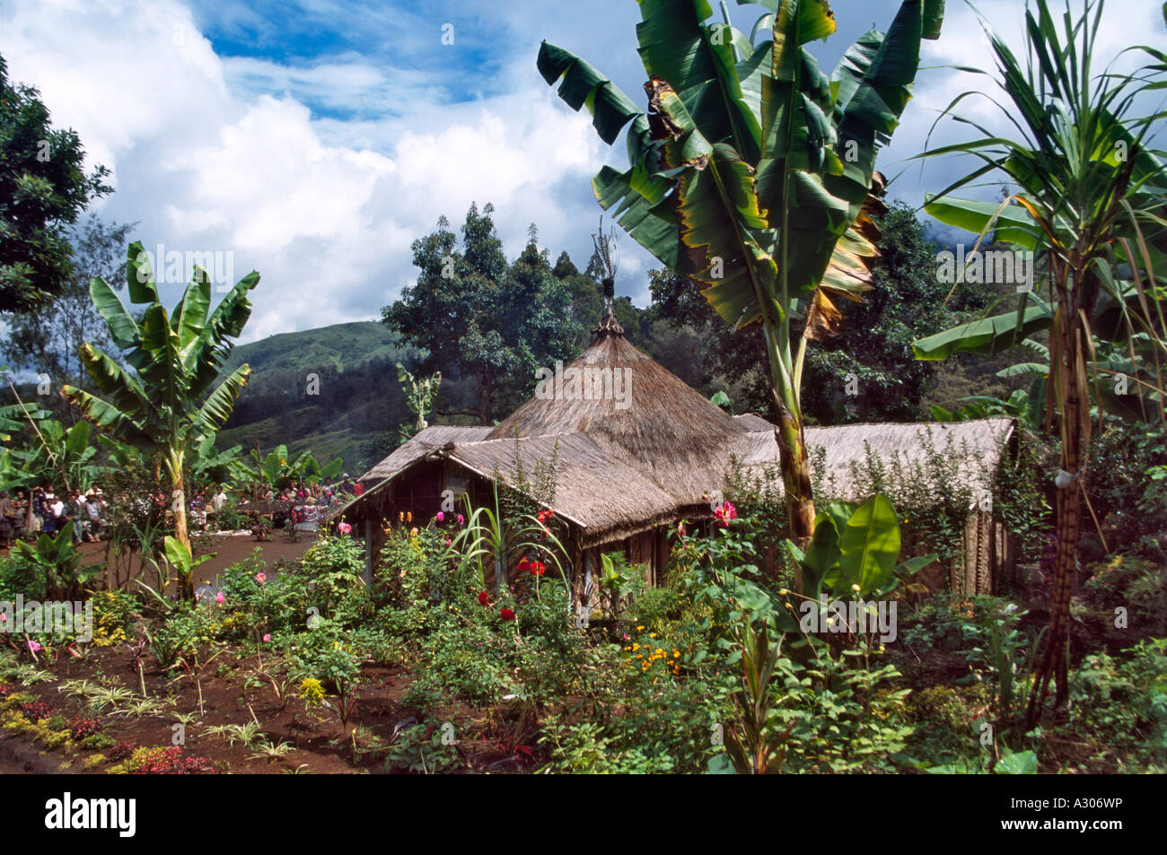A little village in the Highlands mountain Goroka Papua New Guinea ...