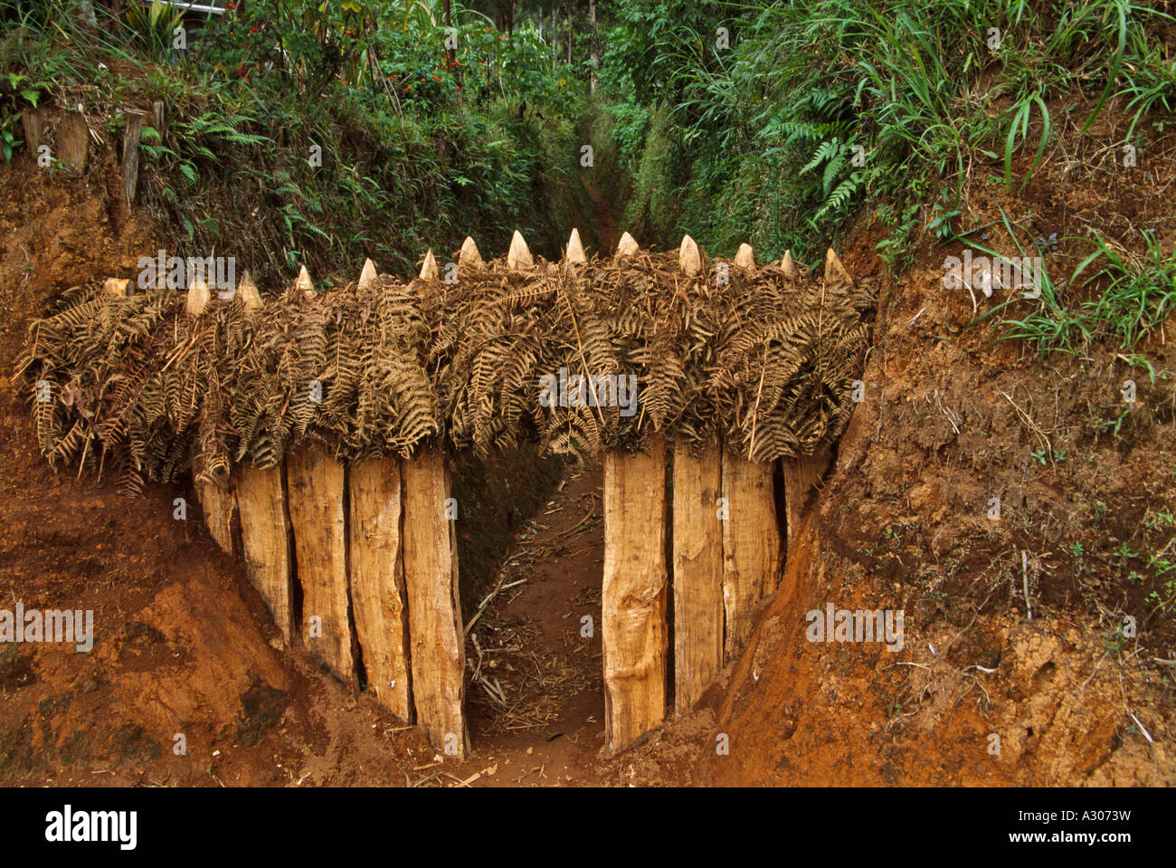 Gate of Huli tribe's territory Tari Southern Highlands Papua New Guinea ...