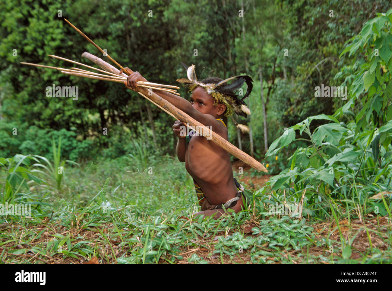 Huli boy shooting with bow and arrow in the forest Tari Southern ...
