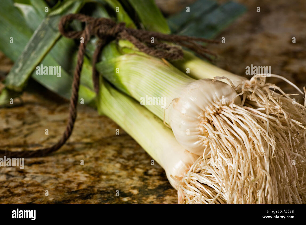 VEGETABLES Riverwoods Illinois Bundle of fresh leeks tied with a string ...