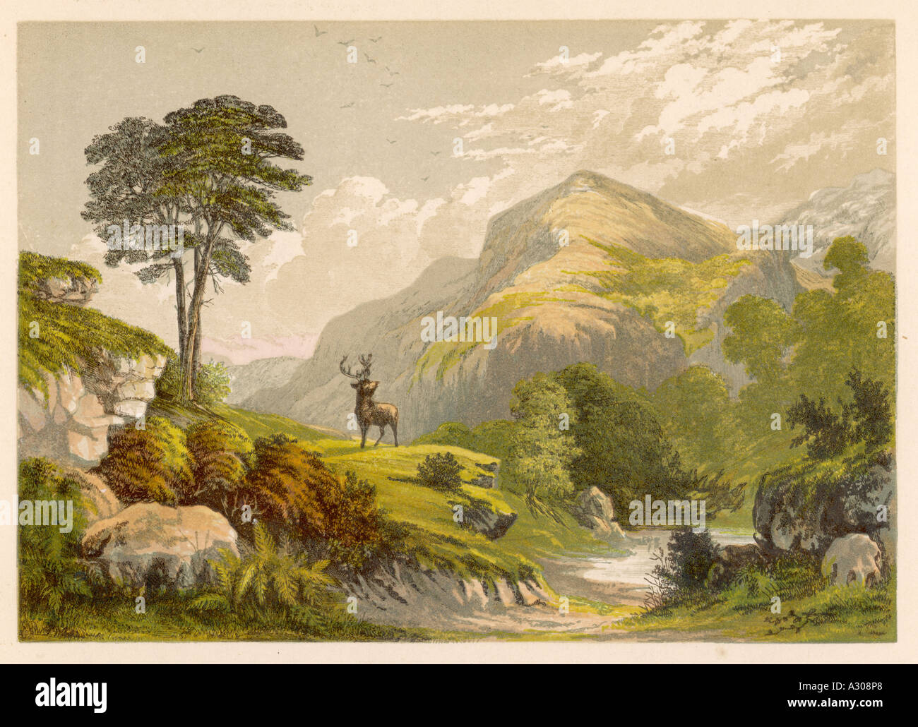 Scottish moors hi-res stock photography and images - Alamy