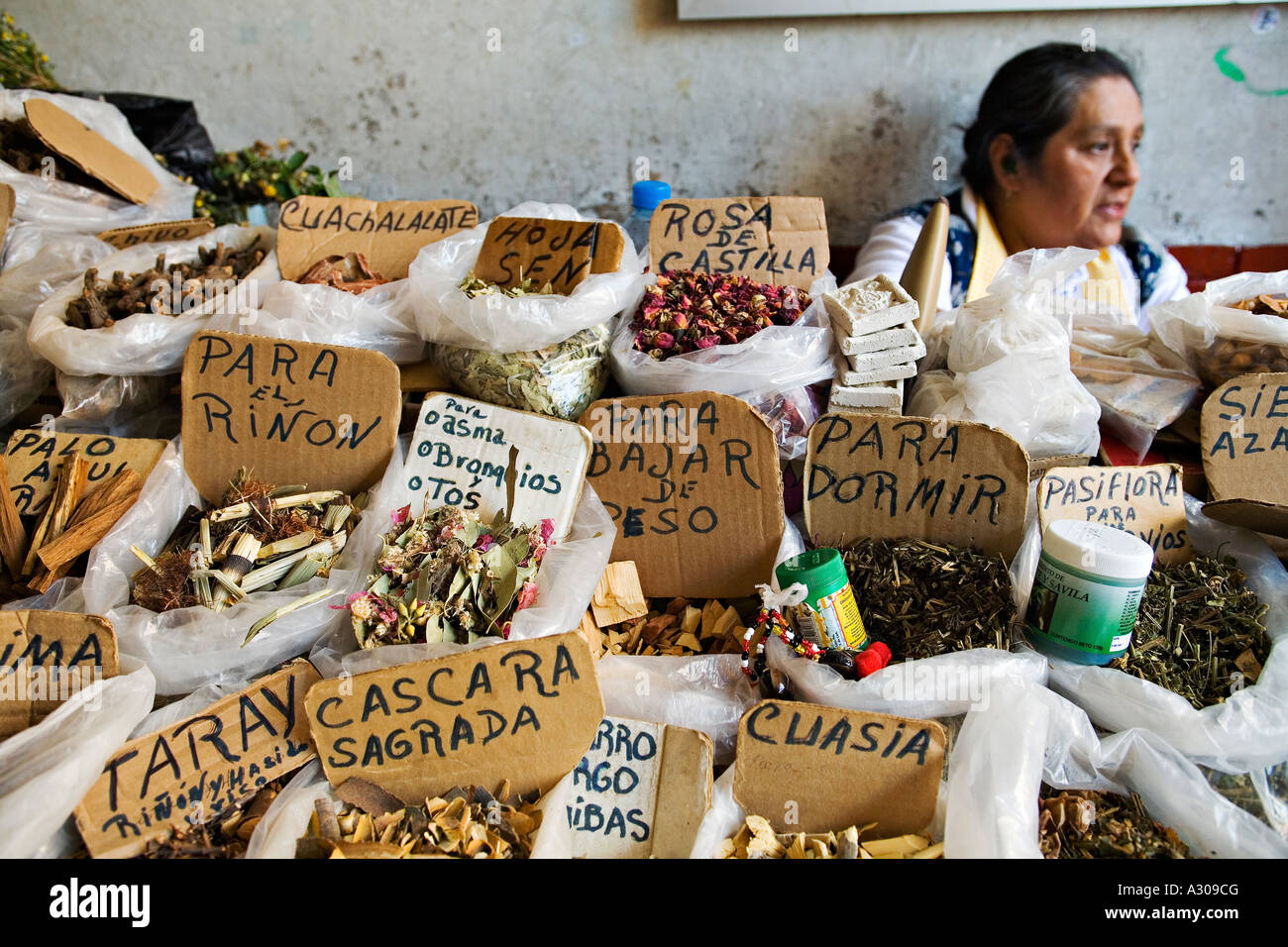 MEXICO Guanajuato Female vendor sit by dried herbs and flowers ...