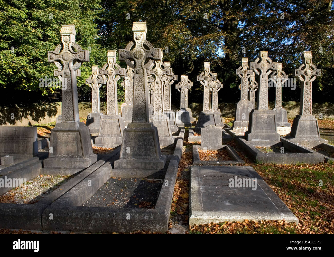Cetic Cross in graveyard Ireland Stock Photo - Alamy