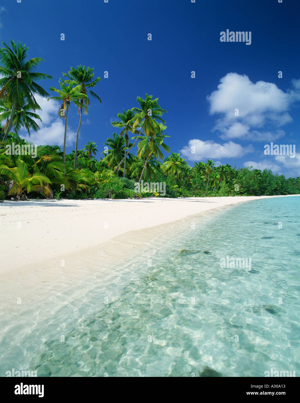 Tropical beach with palm trees along shoreline Aitutaki Lagoon Cook ...