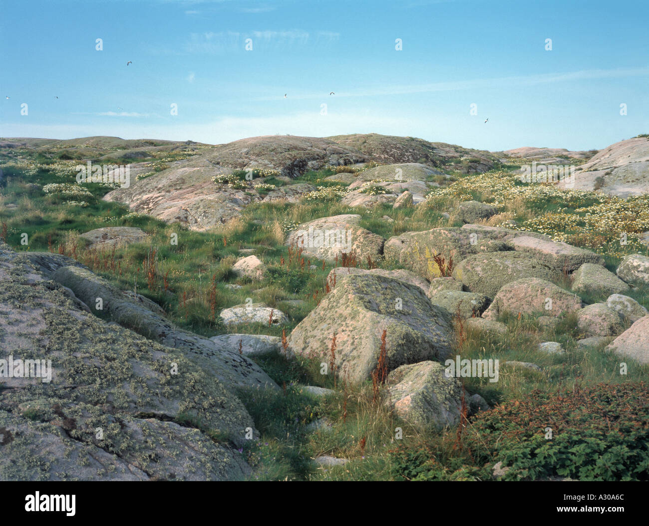 Swedish rocks hi-res stock photography and images - Alamy