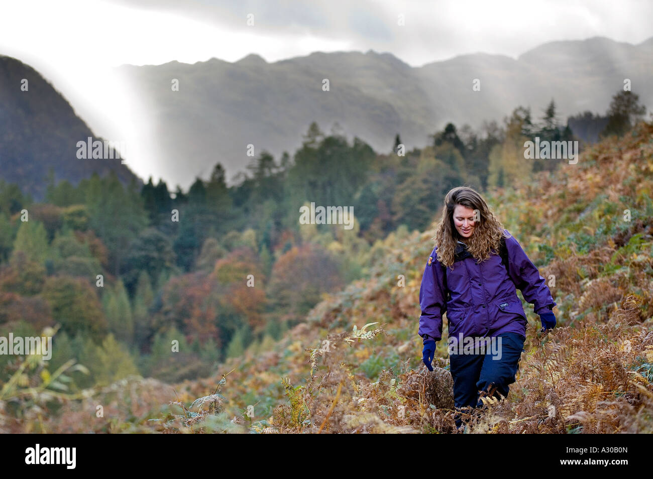 Manesty High Resolution Stock Photography and Images - Alamy