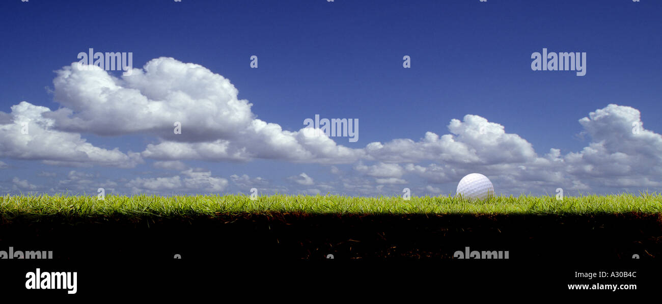 golf ball on fairway Stock Photo - Alamy