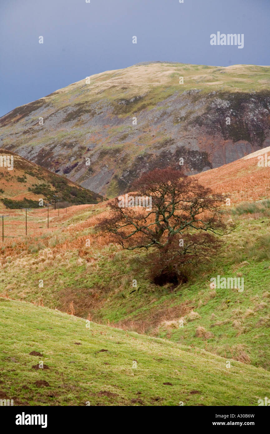 Ingram valley Northumberland, England Stock Photo - Alamy