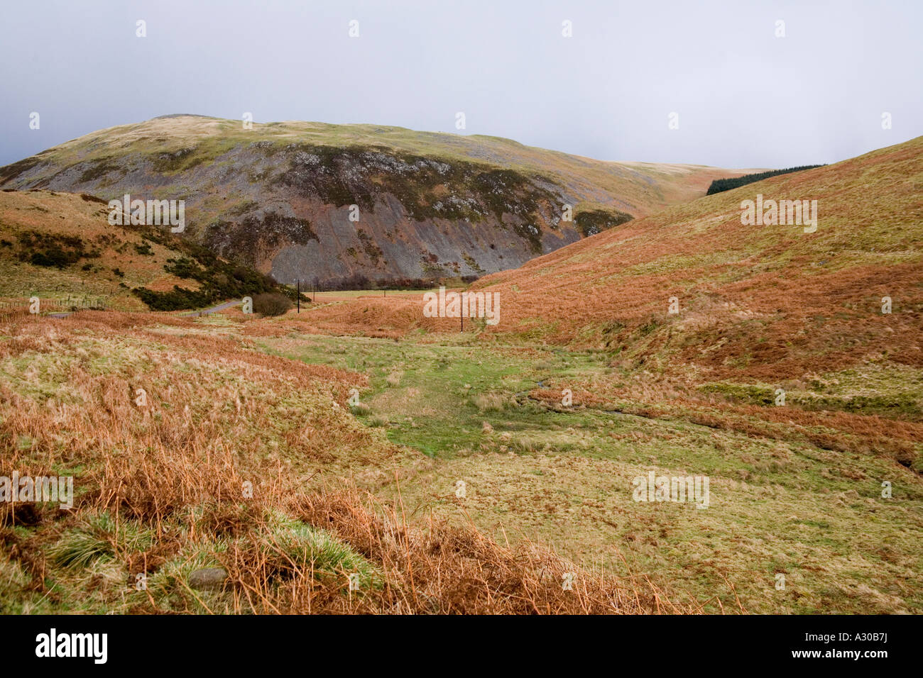 Ingram valley Northumberland, England Stock Photo - Alamy