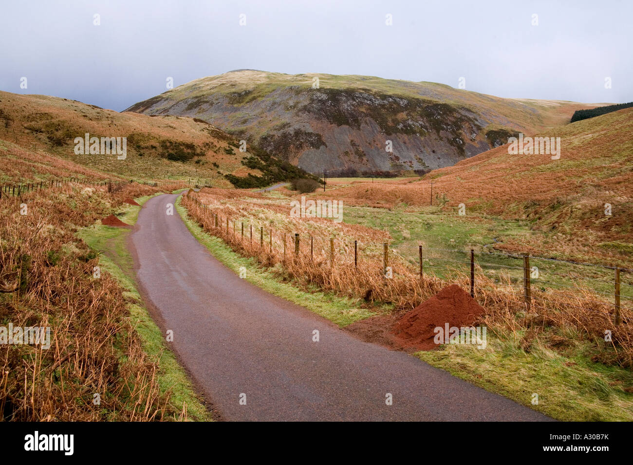 Ingram valley Northumberland, England Stock Photo - Alamy