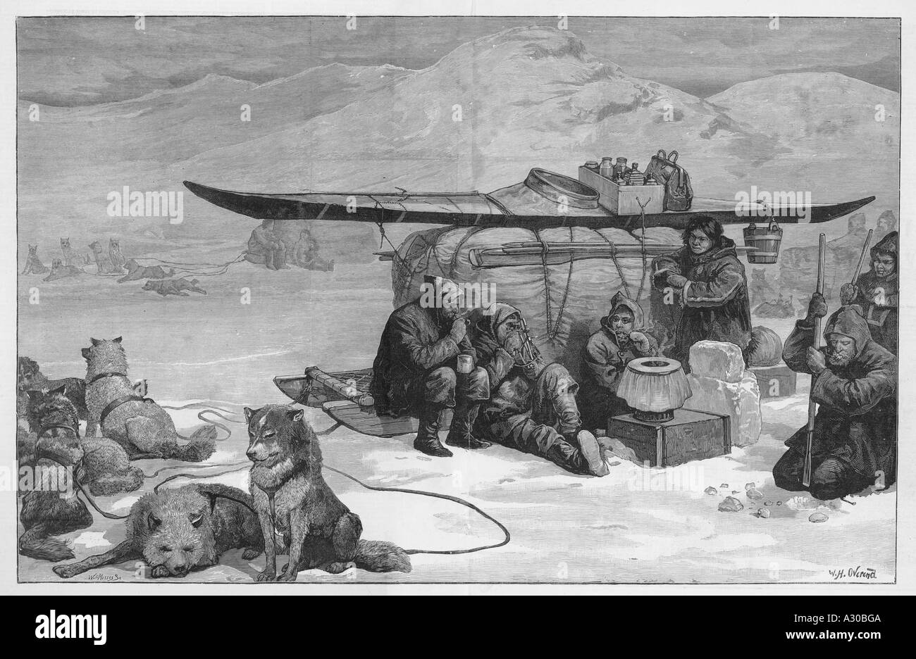 Polar sledge party hi-res stock photography and images - Alamy