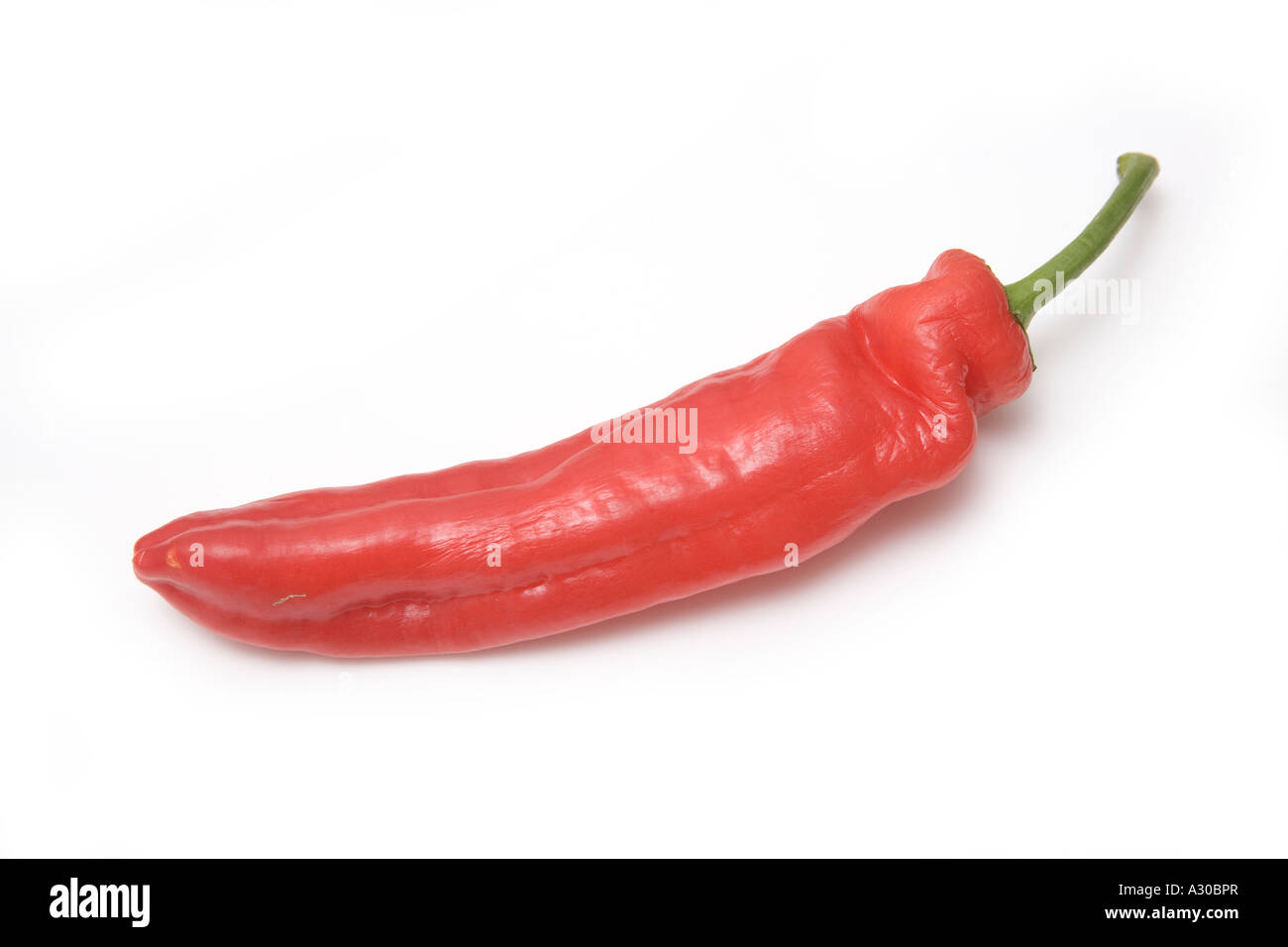 Pepper isolated on a white studio background Stock Photo - Alamy