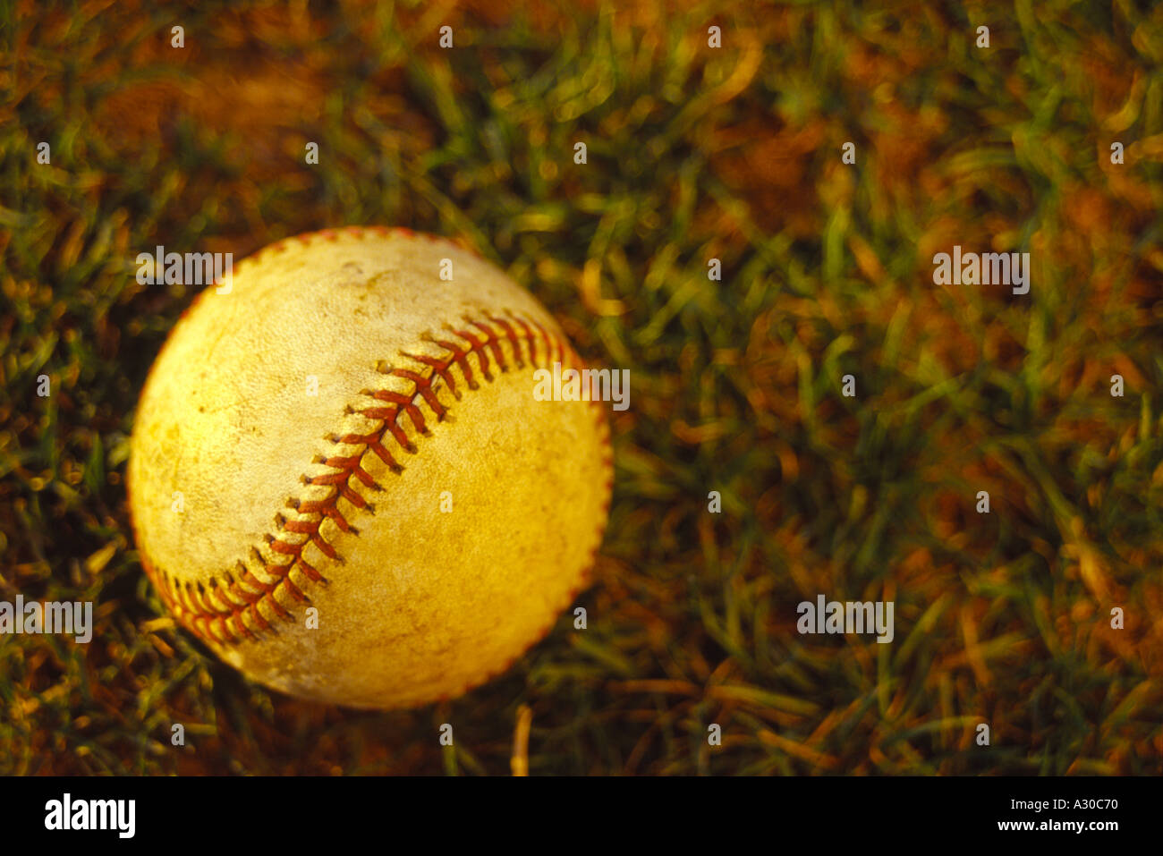 Baseball in warm afternoon light Stock Photo - Alamy