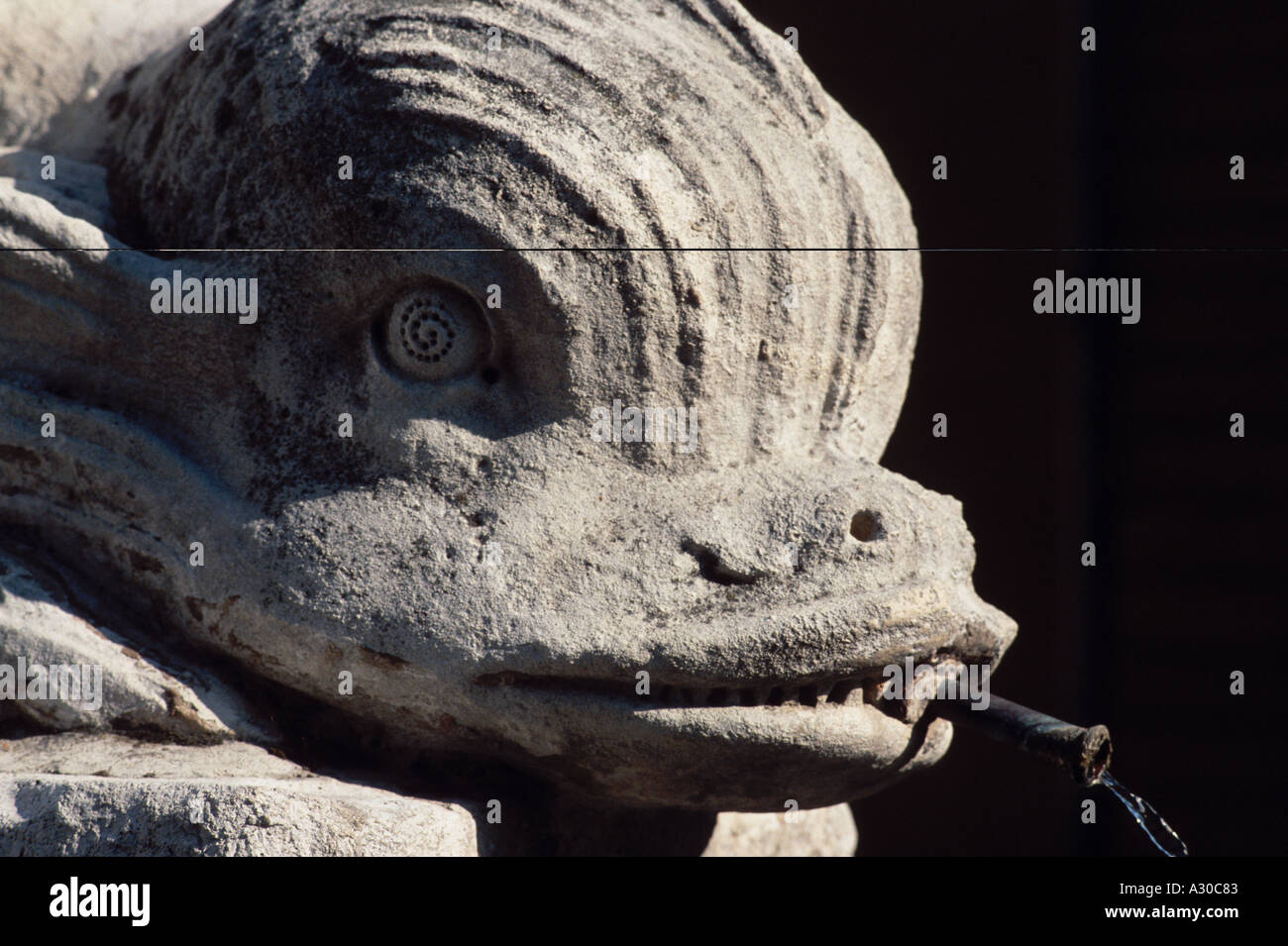 Detail of Fountain of the Four Dolphins Stock Photo - Alamy