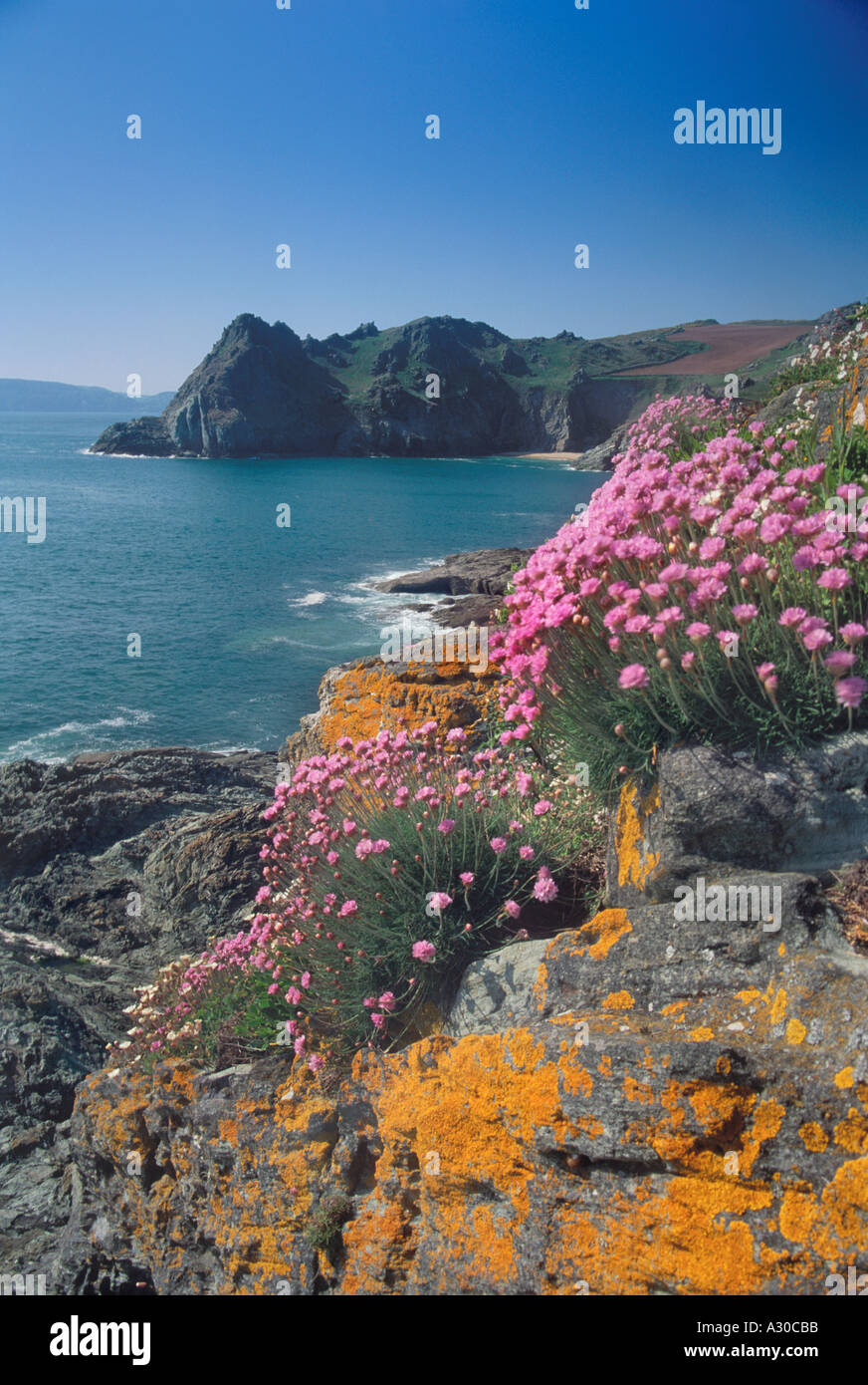Gammon Head viewed from Prawle Point South Devon England UK Stock Photo ...