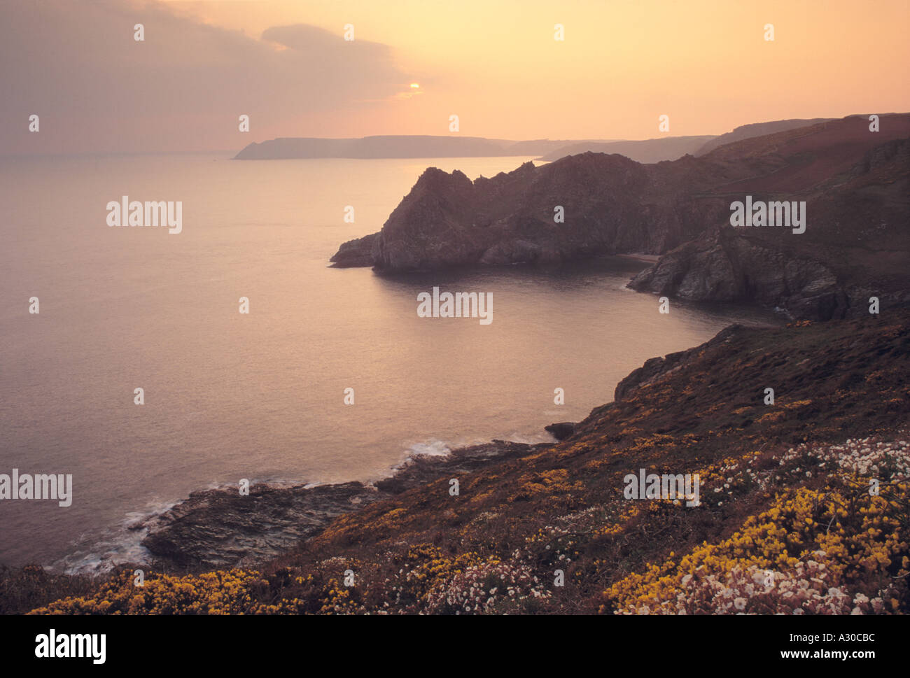 Gammon Head viewed from Prawle Point South Devon England UK Stock Photo ...
