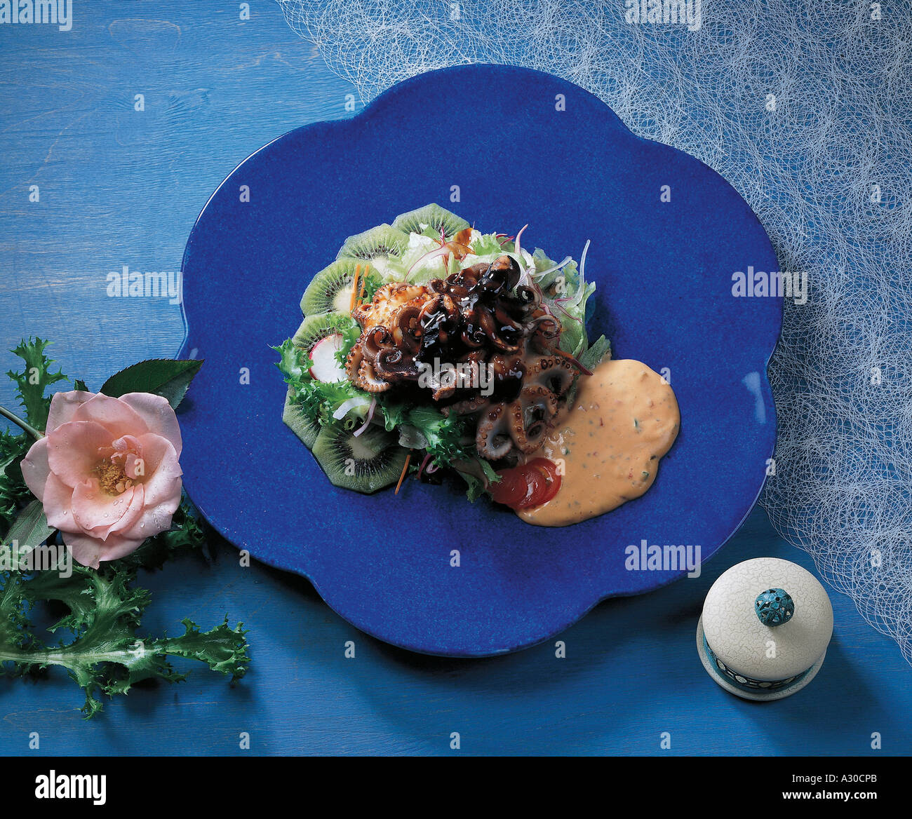 Octopus ocellatus hi-res stock photography and images - Alamy