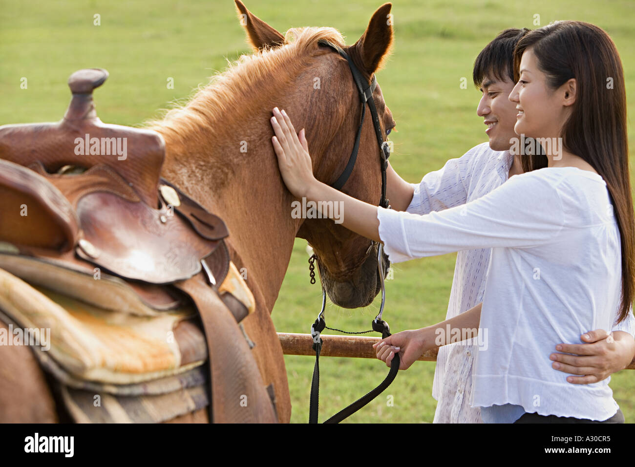 Beautiful young woman stroking horse hi-res stock photography and ...