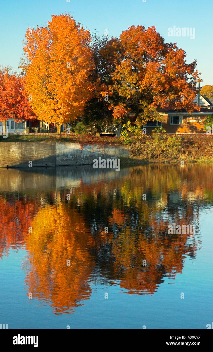 Trees reflected in the Yamaska river in Estrie Quebec Stock Photo - Alamy