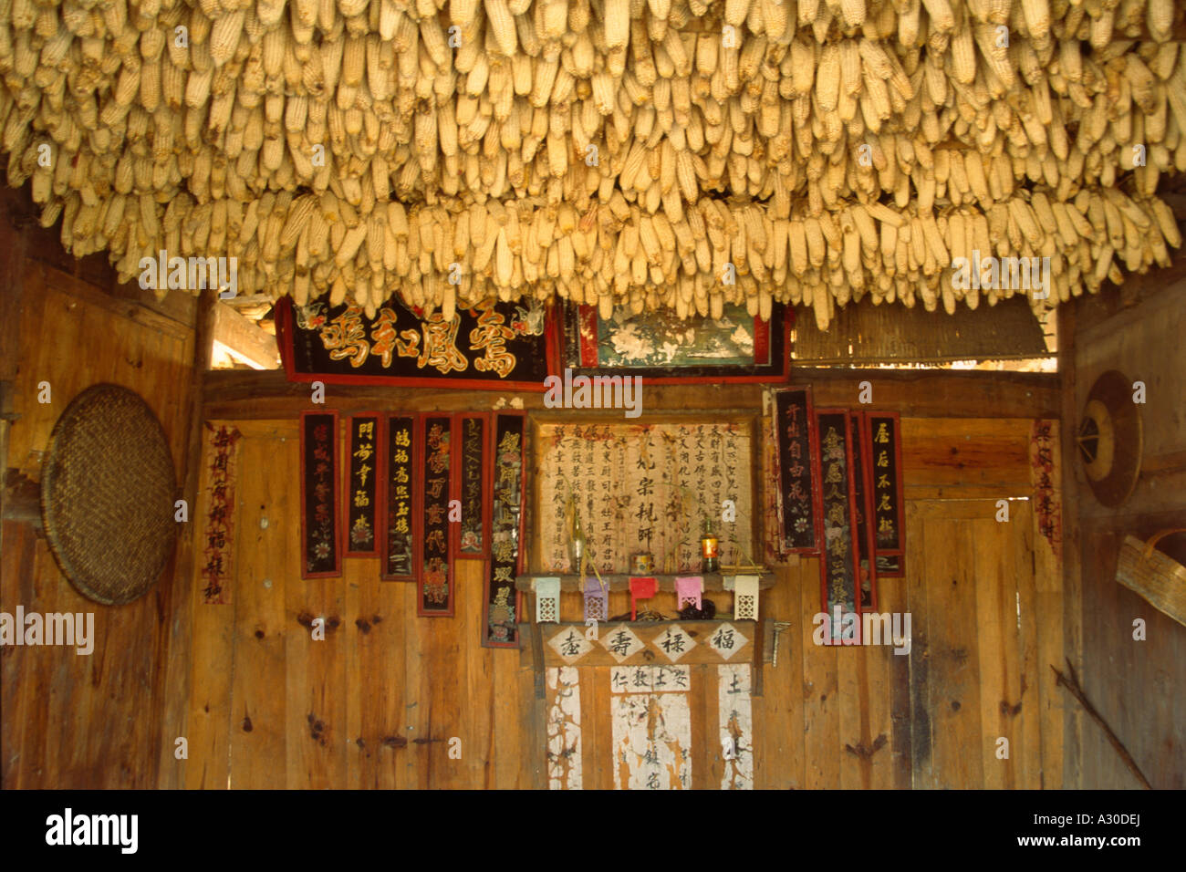 Inside of Miao people's house, shrine with dried corns, Guizhou, China ...
