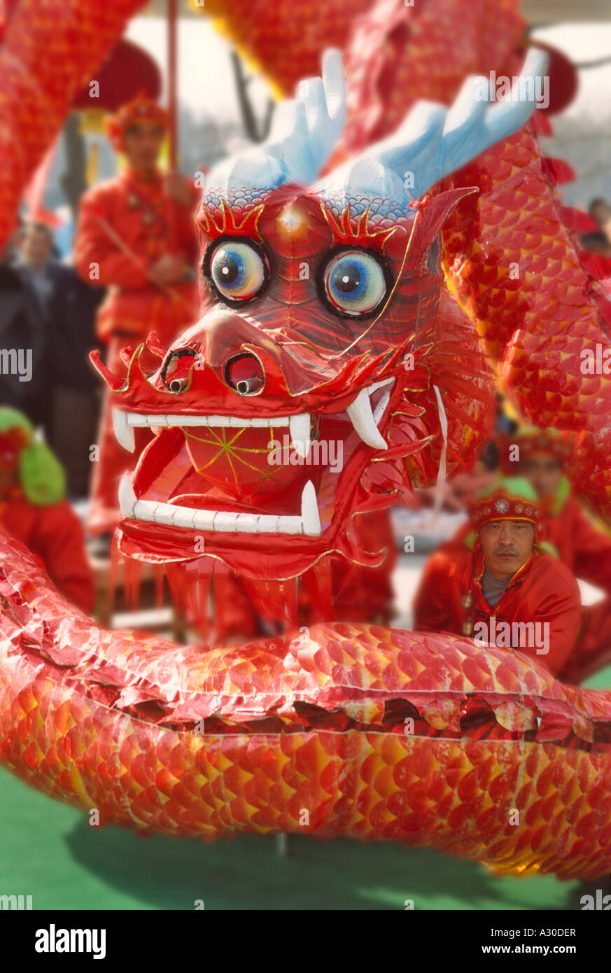 Dragon dance performance celebrating Chinese New year Beijing China ...