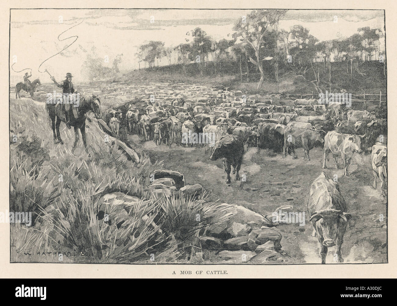 Australia 1880 history historical hi-res stock photography and images ...