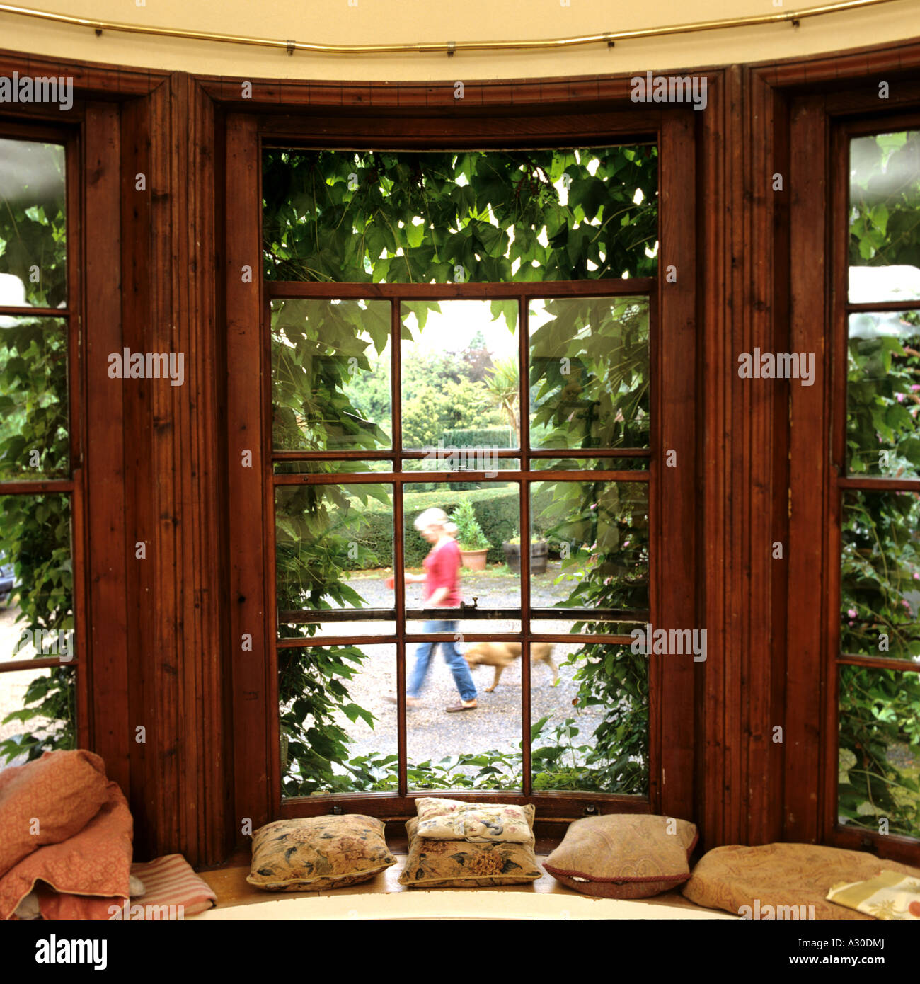 View through window of woman walking a dog Stock Photo - Alamy