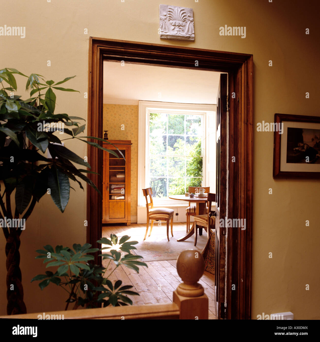 Hall view hi-res stock photography and images - Alamy